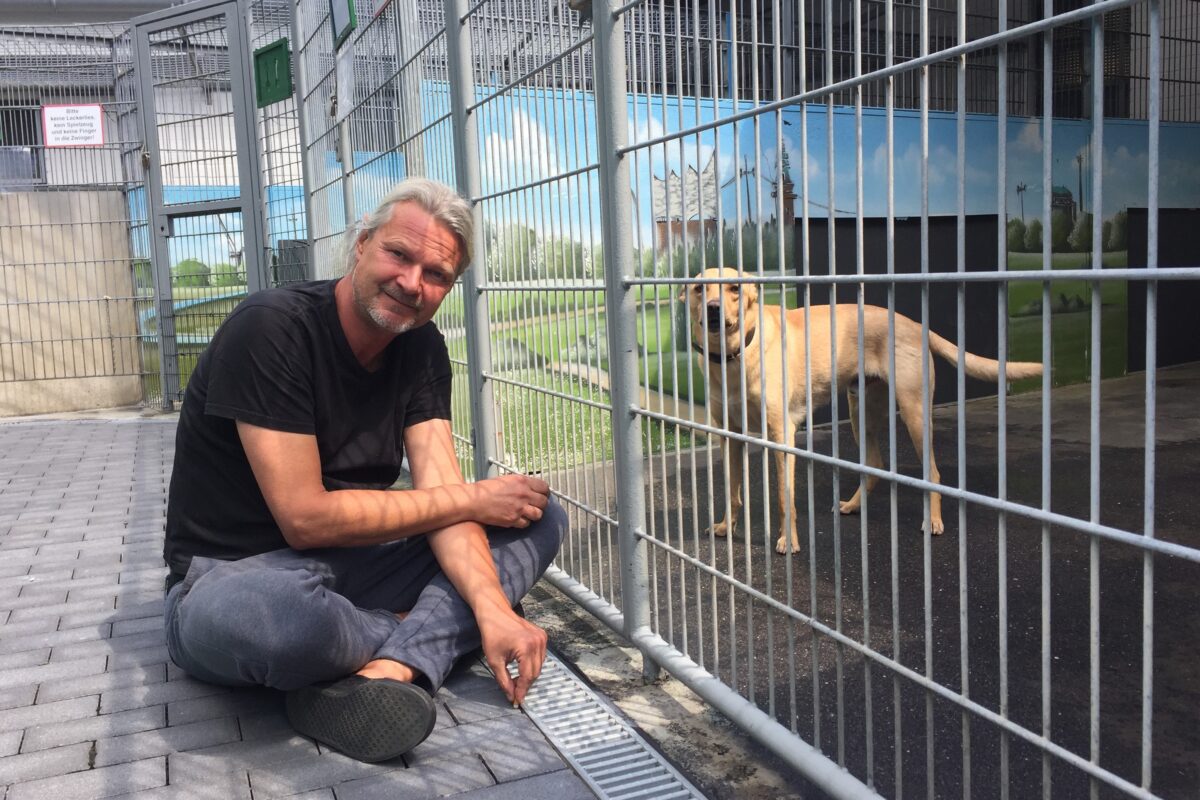 Tag der offenen Tür im Franziskus Tierheim - Eimsbütteler Nachrichten